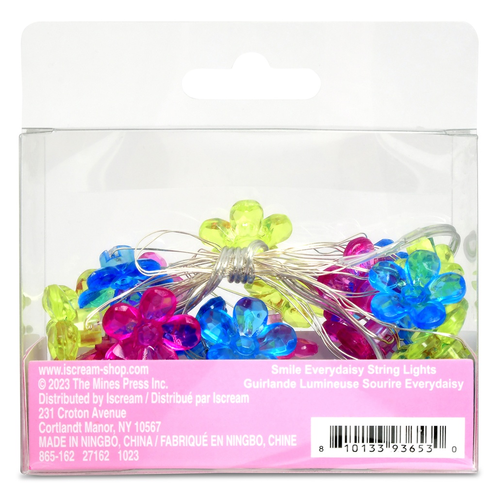Smile Every Daisy String Lights Smile Every Daisy String Lights
